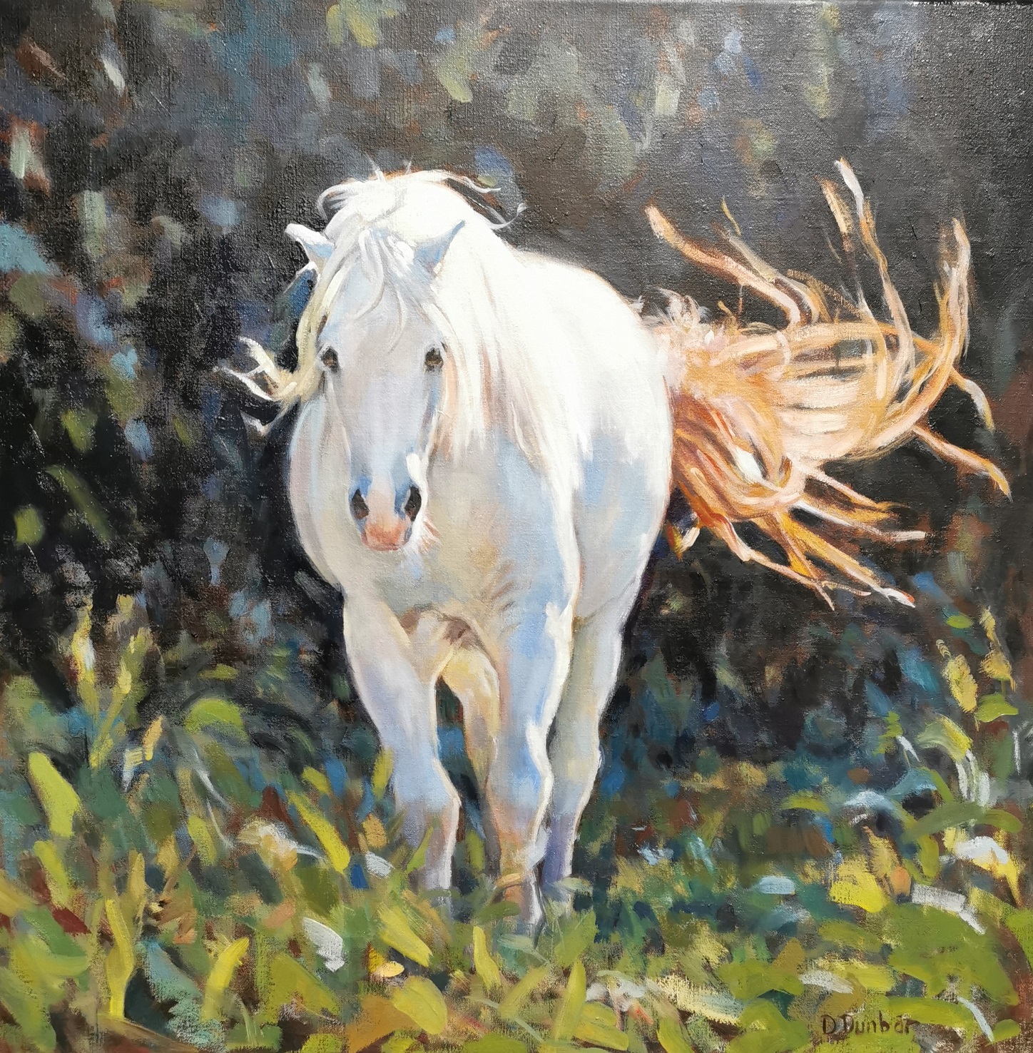 Debbie Dunbar Painter – Fine Art